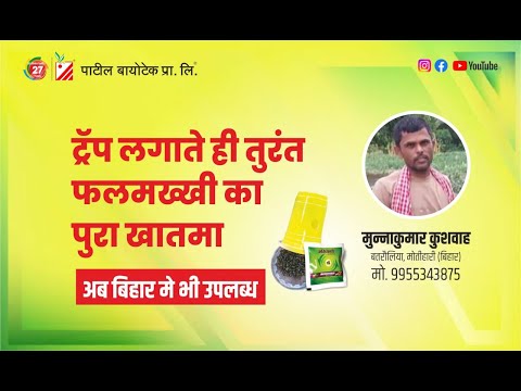 Kake Switch – Maximizer Merch